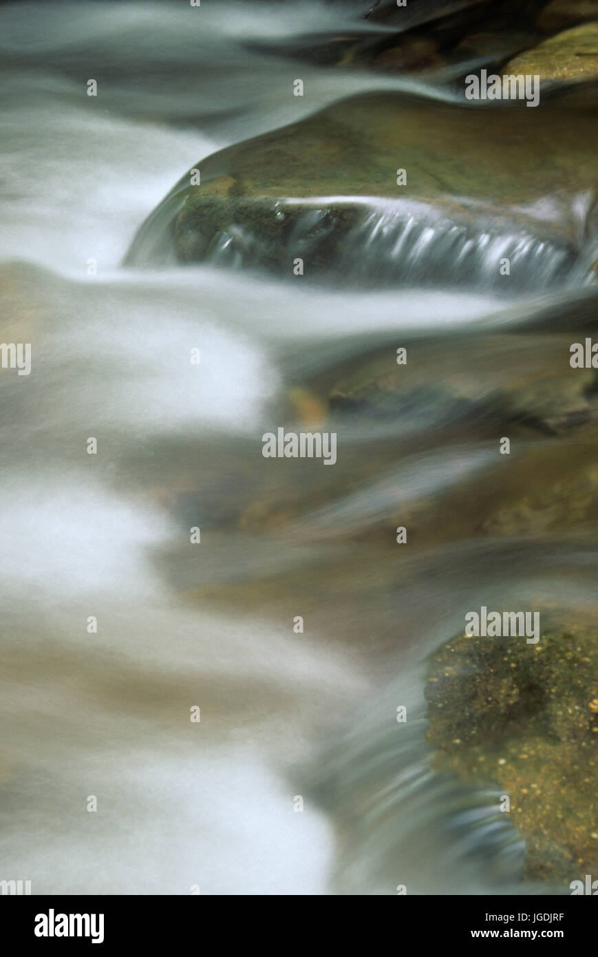Morrison Run cascade, Allegheny National Forest, Pennsylvania Stock ...