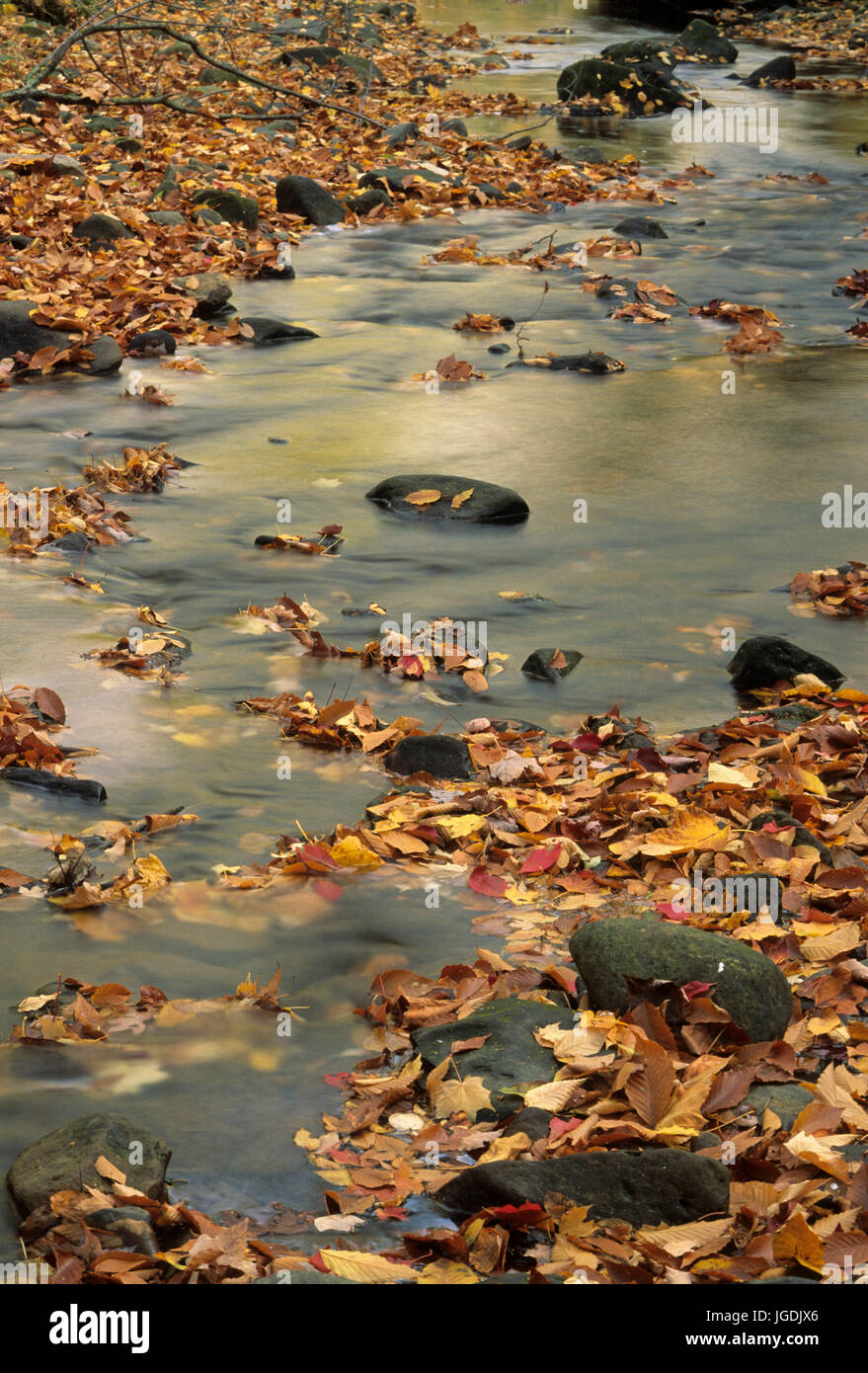 Powdermill nature reserve hi-res stock photography and images - Alamy