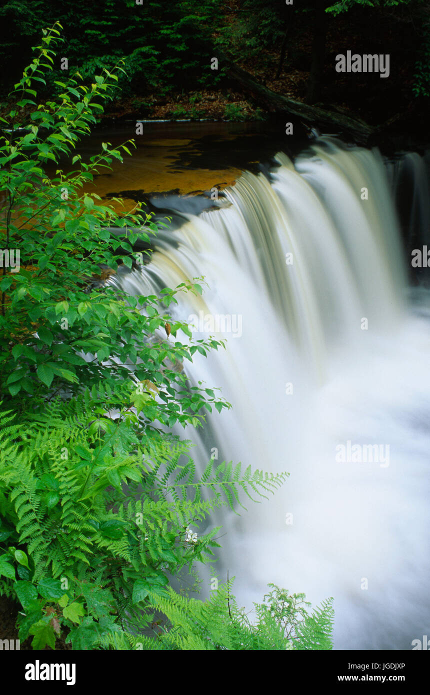 Oneida Falls, Ricketts Glen State Park, Pennsylvania Stock Photo - Alamy