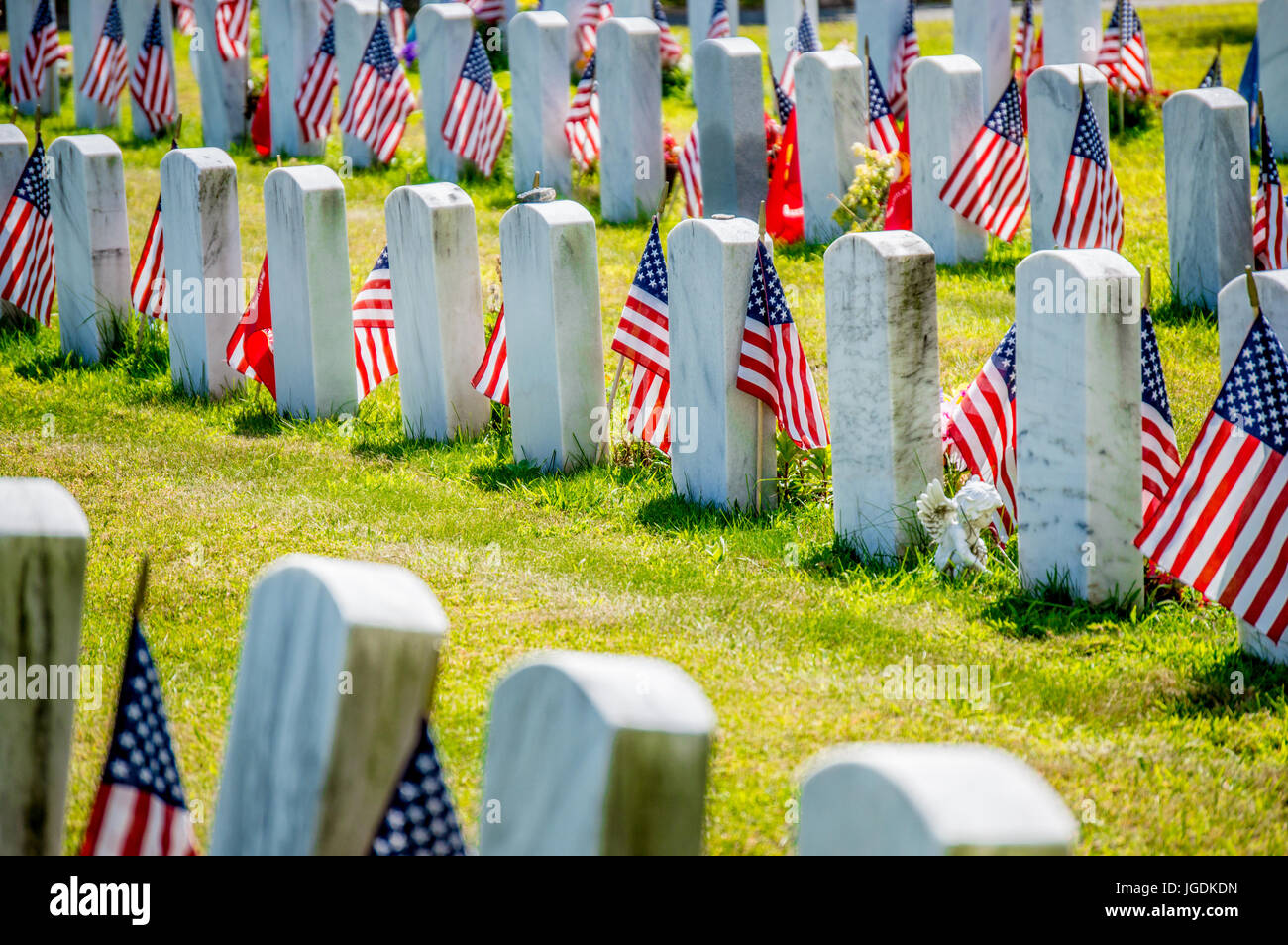 rows of grave markers with American flags in military cemetery Stock ...