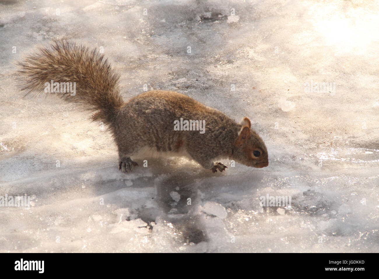 Battery Park, Manhattan, New York City, United States Stock Photo - Alamy