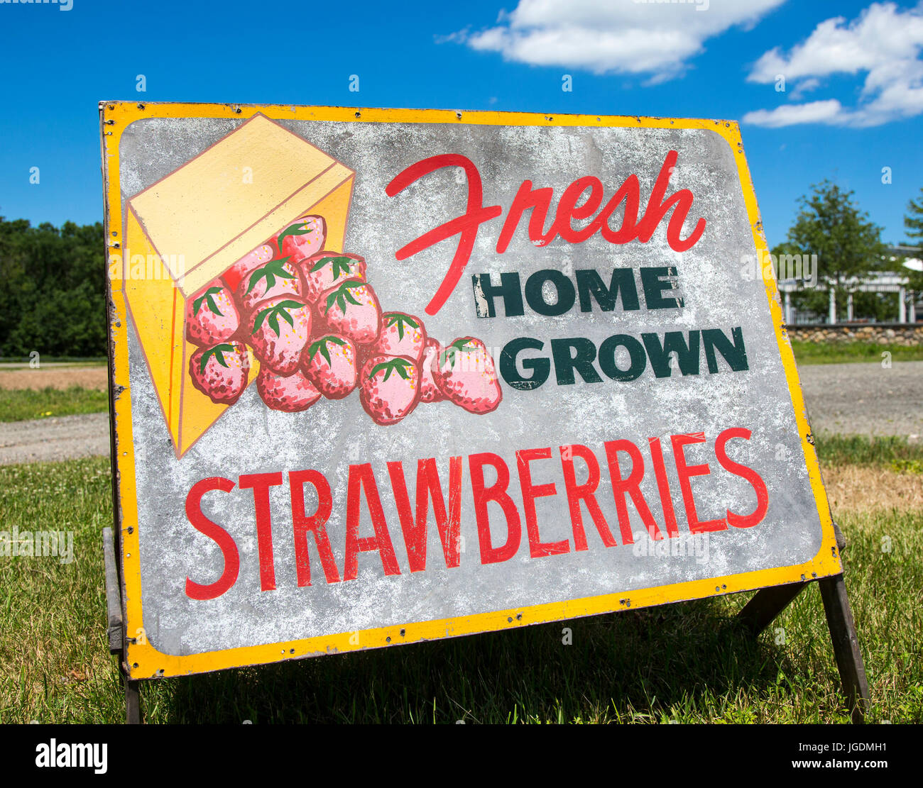 Fresh fruit sign hi-res stock photography and images - Alamy