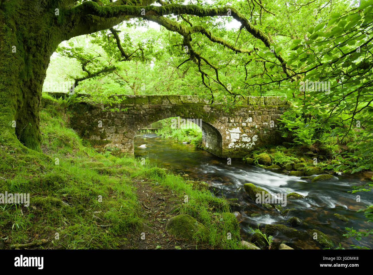 A stone bridge over the River Meavy upstream of Burrator Reservior in ...