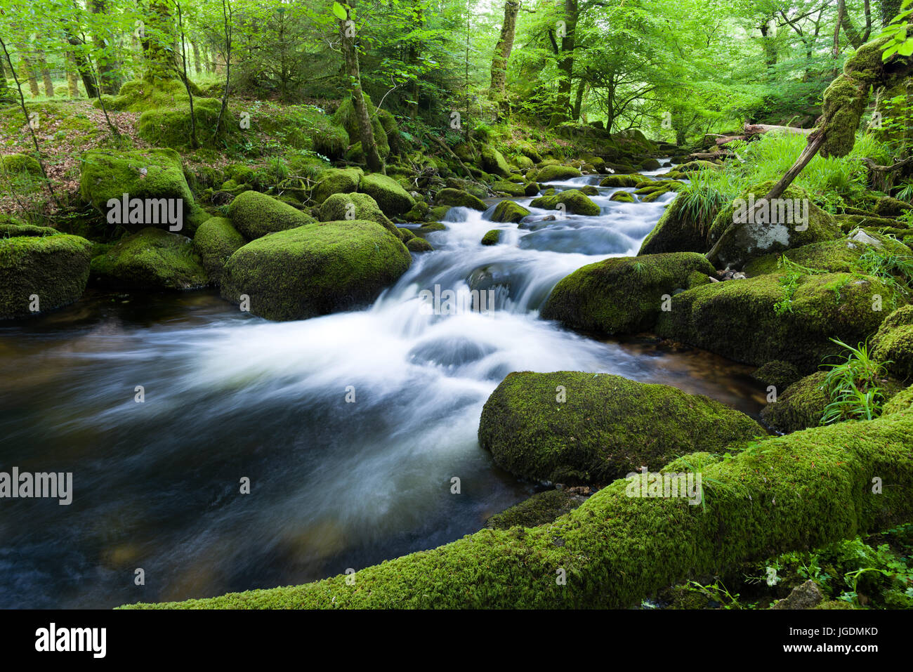 The River Meavy upstream of Burrator Reservior in Dartmoor National ...