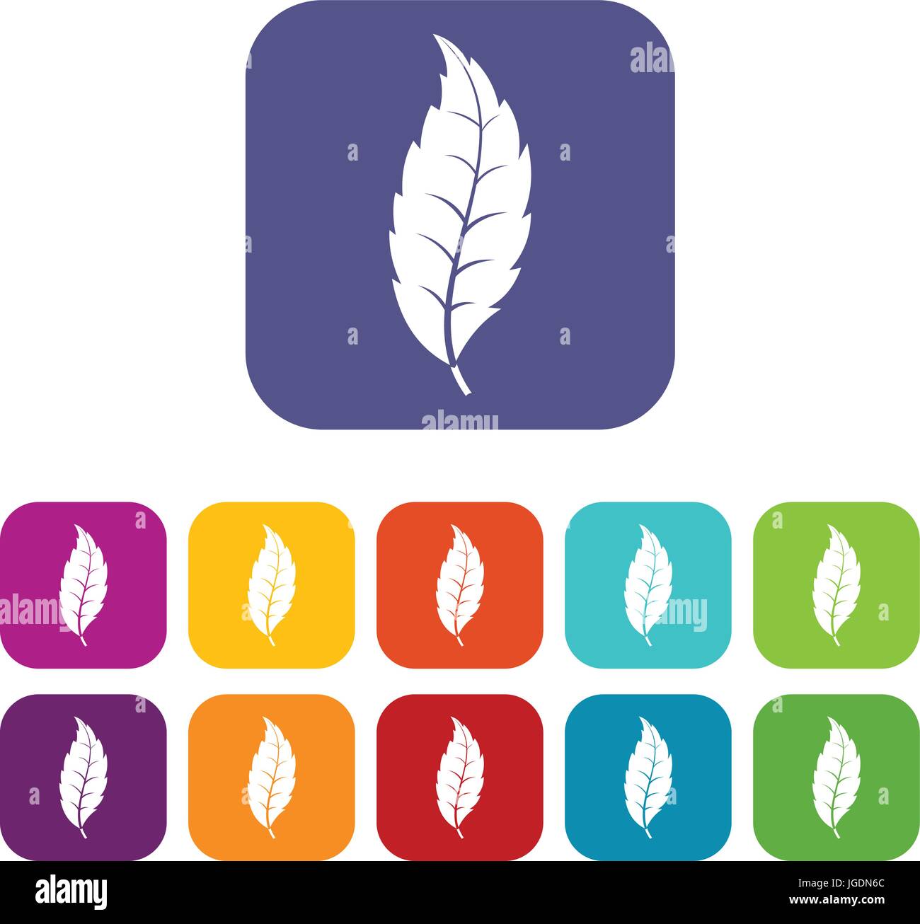 Narrow leaf ash Stock Vector Images - Alamy