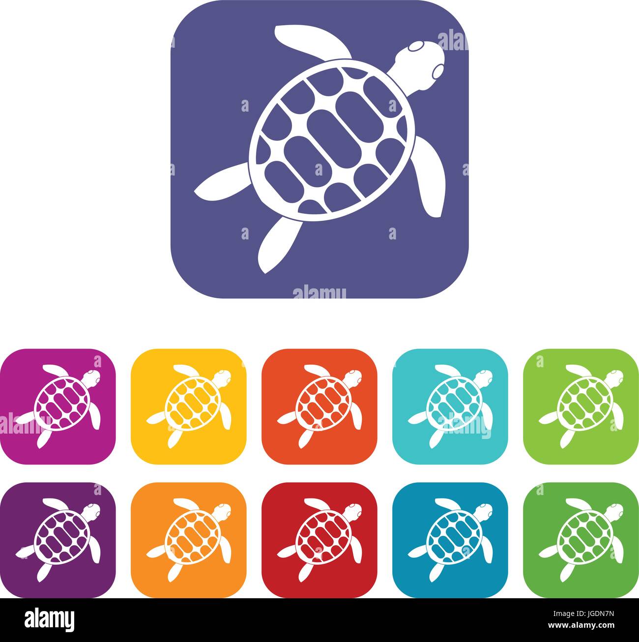 Green sea turtle red sea Stock Vector Images - Alamy