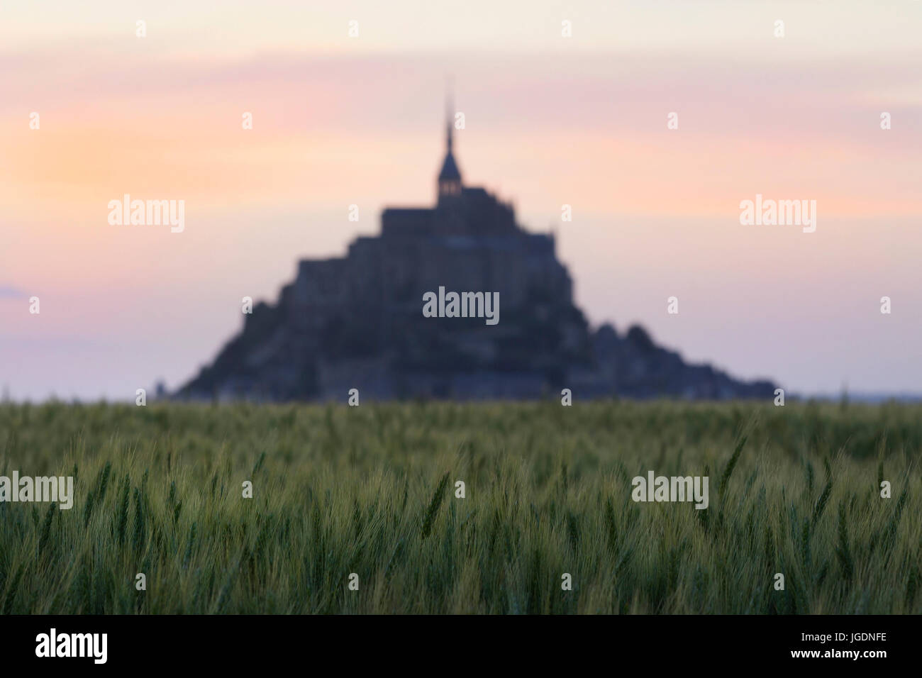 Mont Saint Michel at sunset in Normandy, France Stock Photo - Alamy
