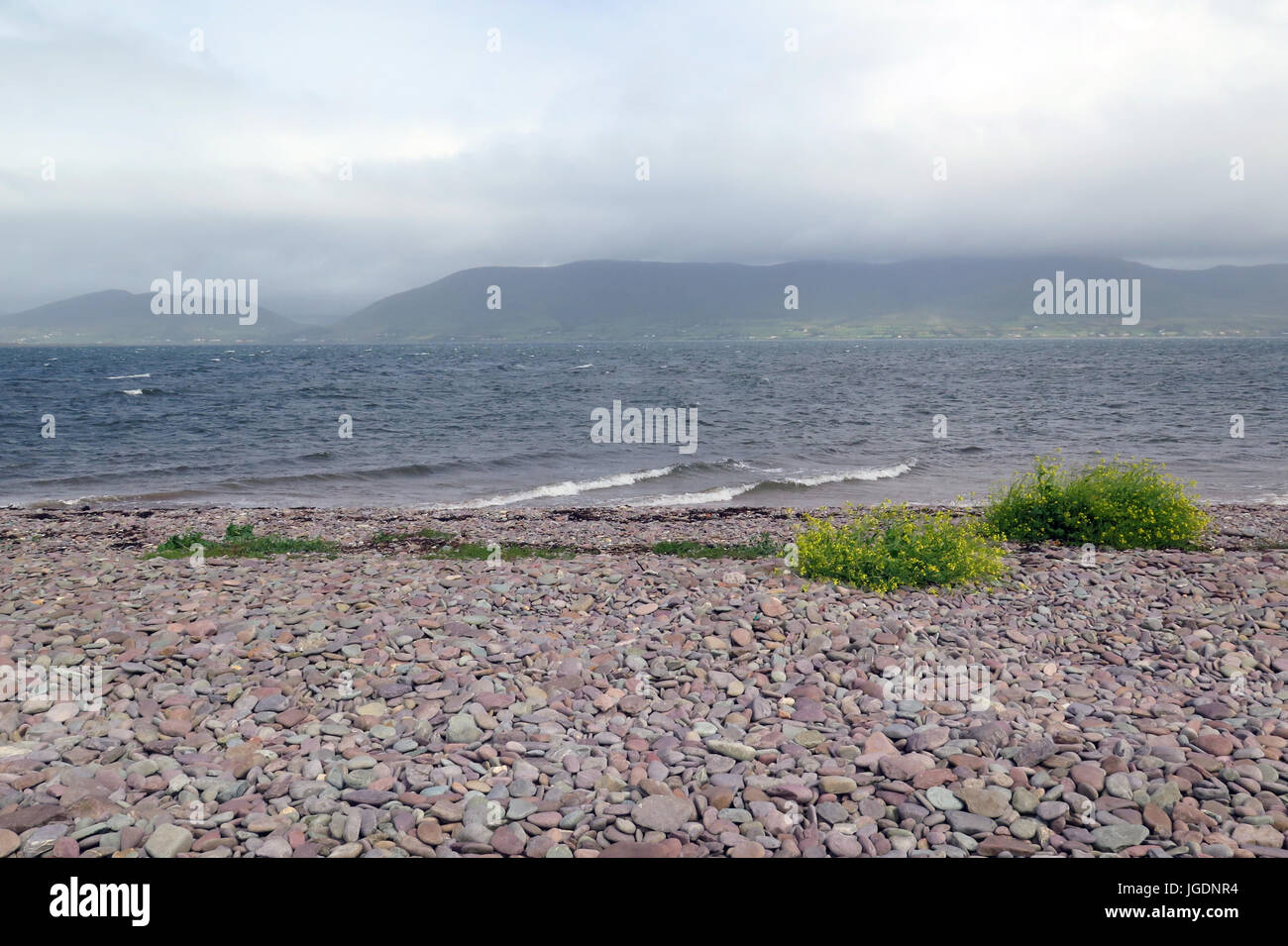 Cromane hi-res stock photography and images - Alamy