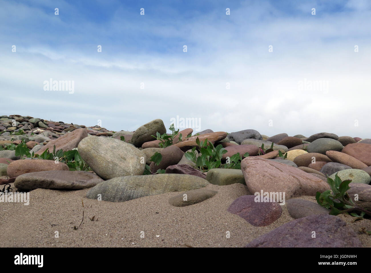 Cromane High Resolution Stock Photography and Images - Alamy