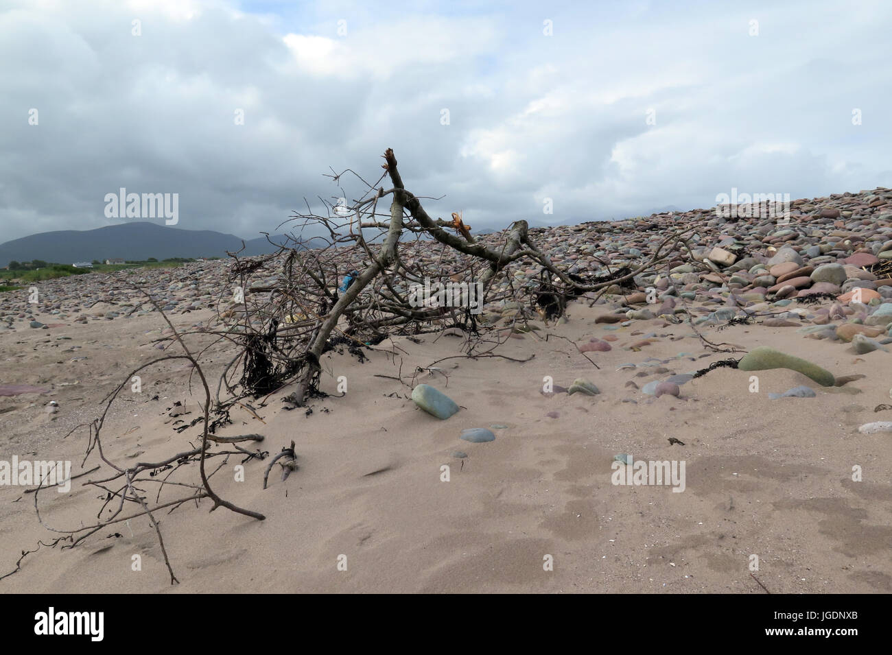 Cromane hi-res stock photography and images - Alamy