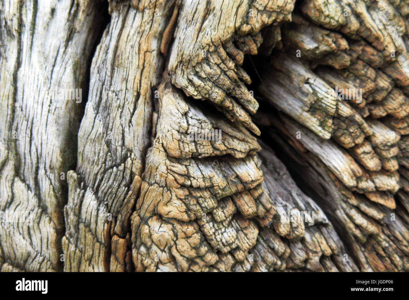Cromane Beach, Ireland Stock Photo - Alamy
