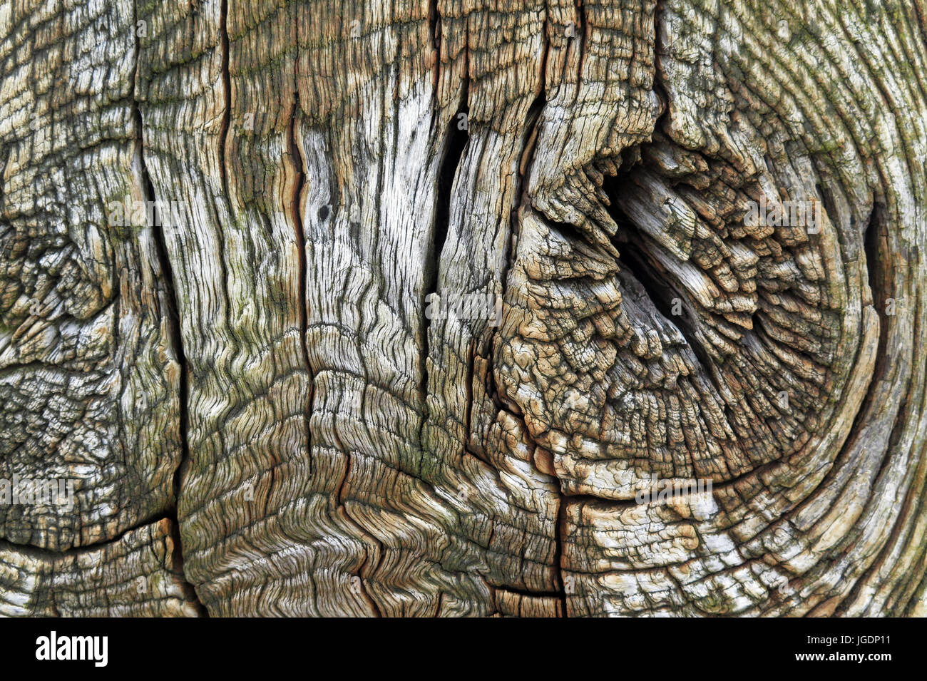 Cromane Beach, Ireland Stock Photo - Alamy