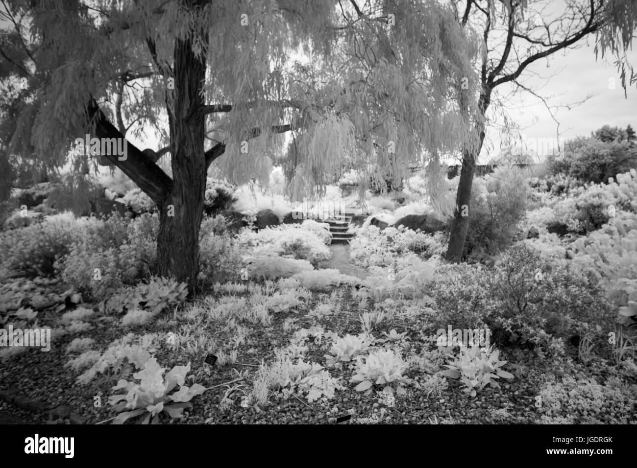 Pretty summer garden Black and White Stock Photos & Images - Alamy