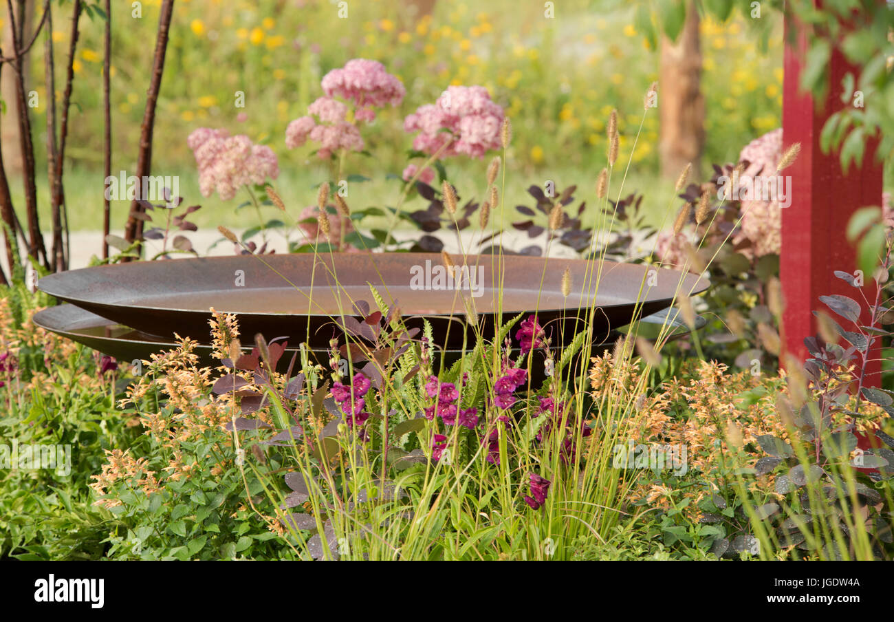 A water filled metal cauldron surrounded by plants including Agastache ...