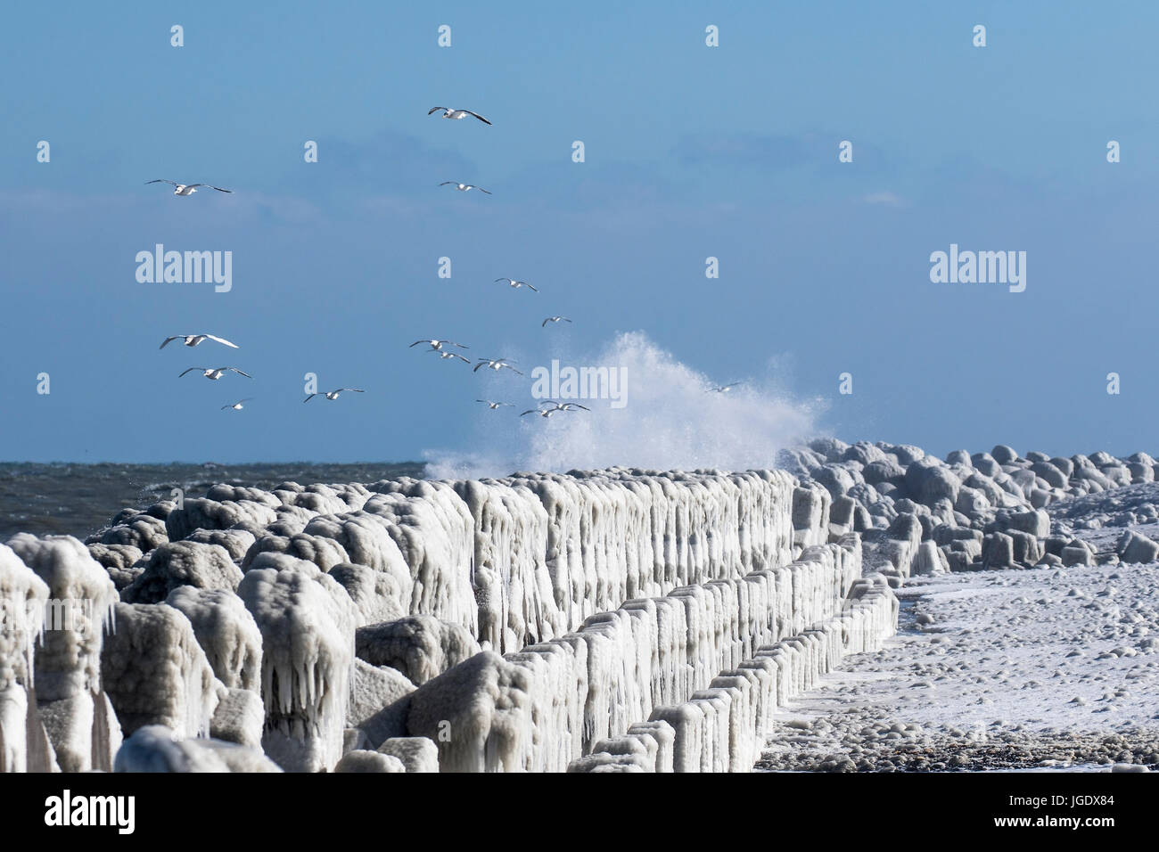 Scenery with Rausu, island Hokkaido / Japan, Ochotsikisches sea ...