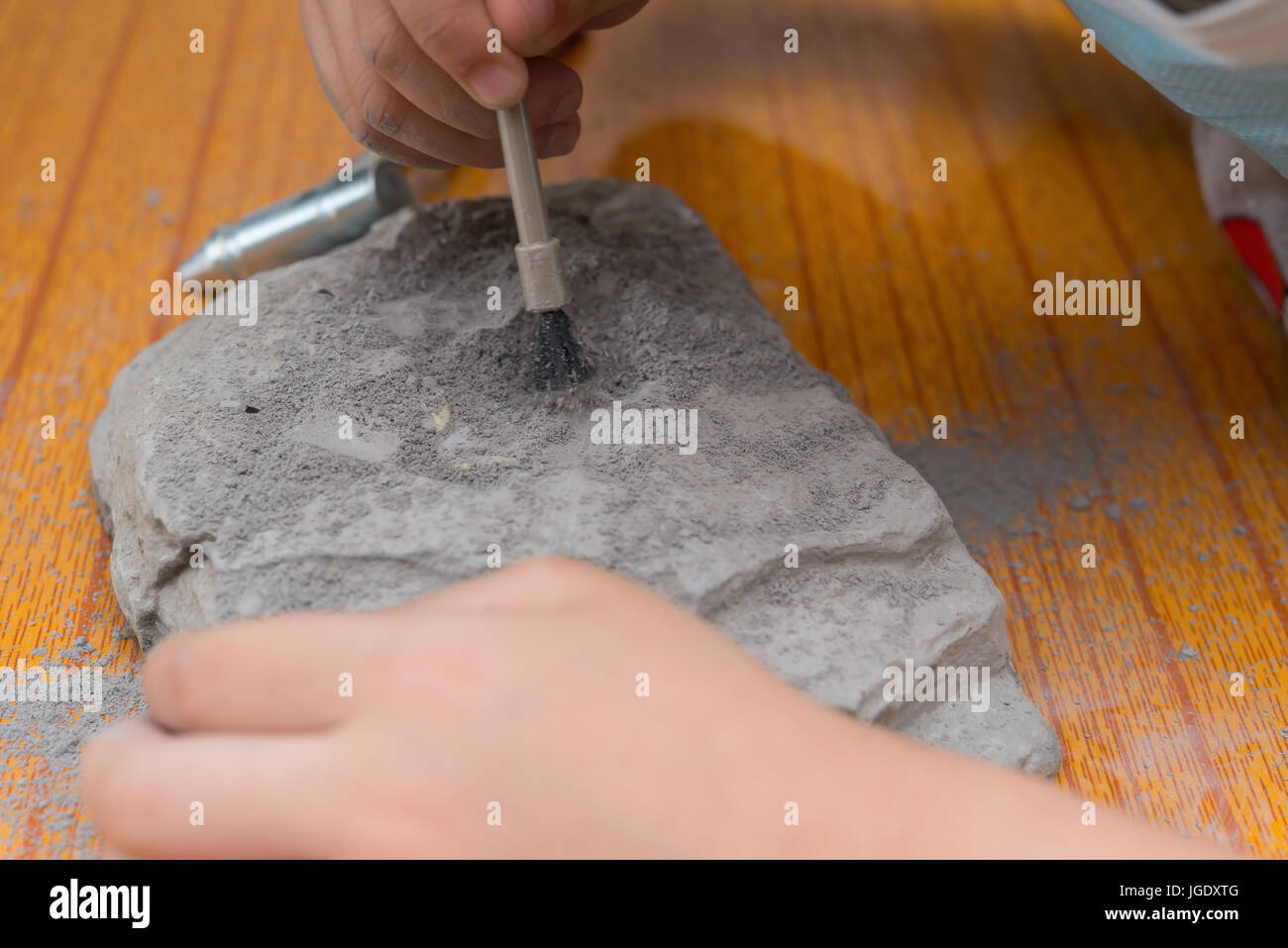 kid excavating animal bones from a rock Stock Photo - Alamy