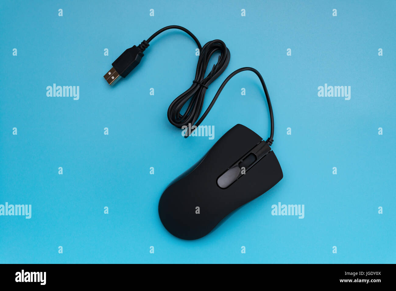 top view black mouse on blue background Stock Photo - Alamy