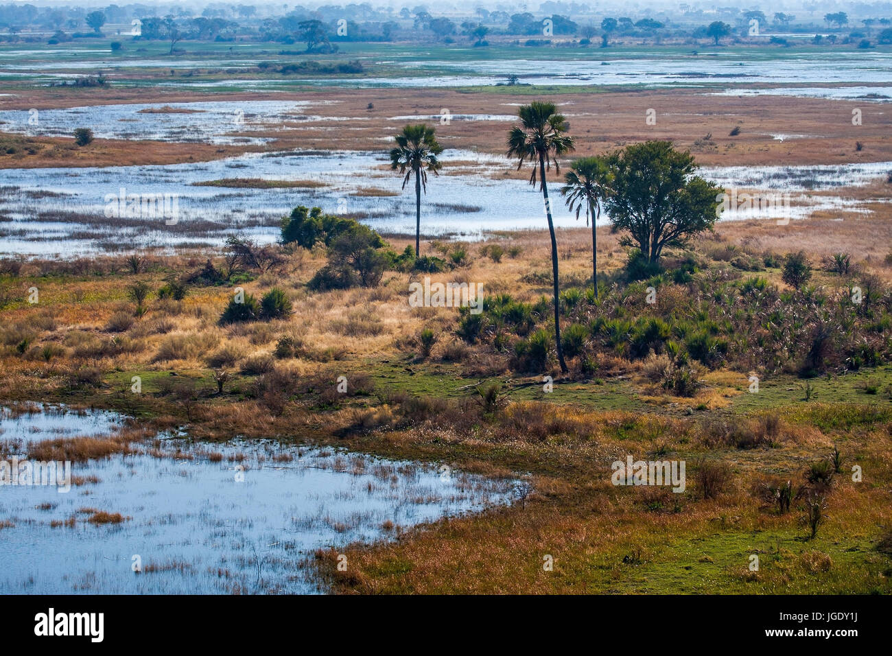 Okawango delta, Botswana, Okawango-Delta Stock Photo - Alamy