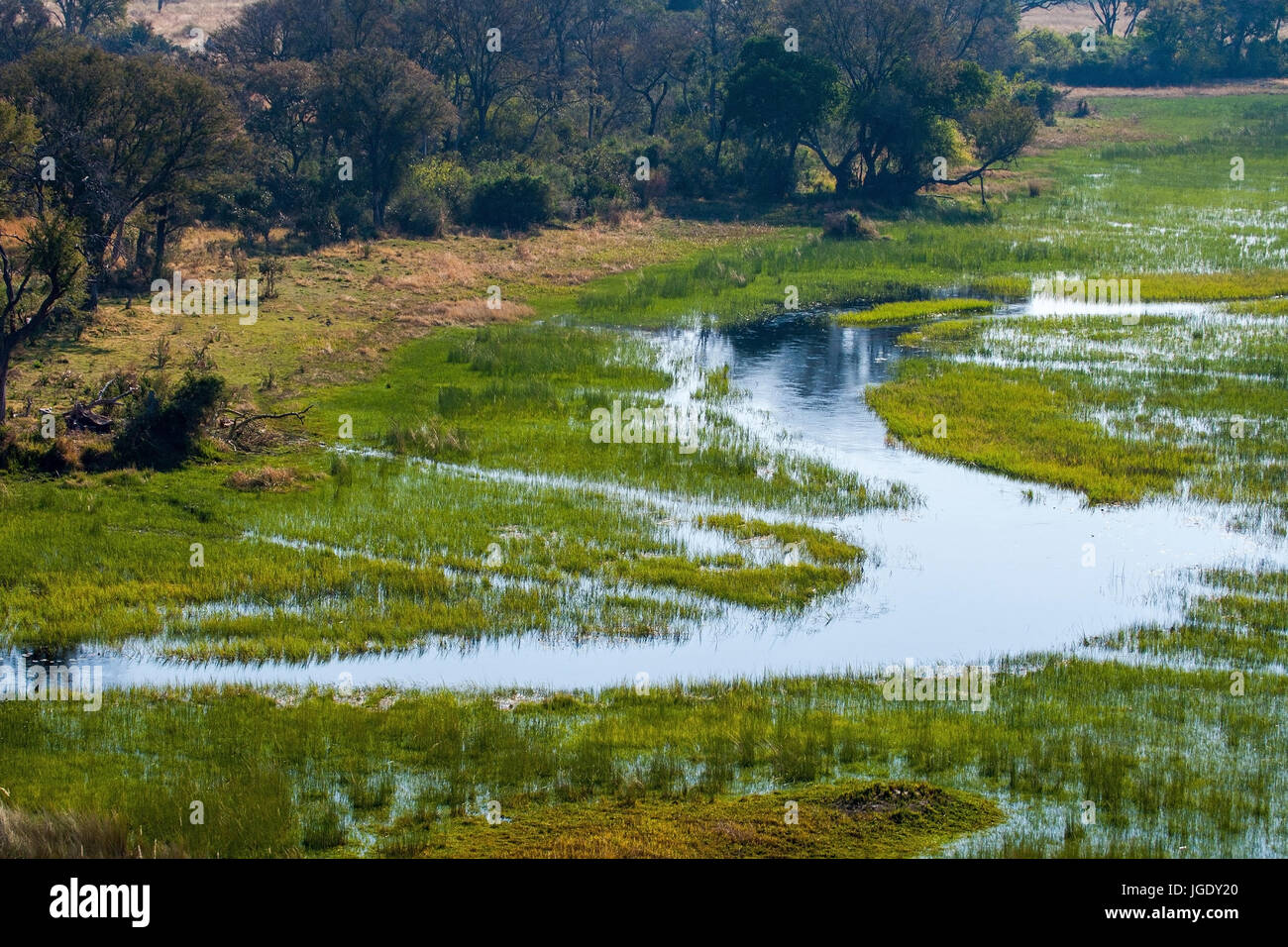 Okawango delta, Botswana, Okawango-Delta Stock Photo - Alamy