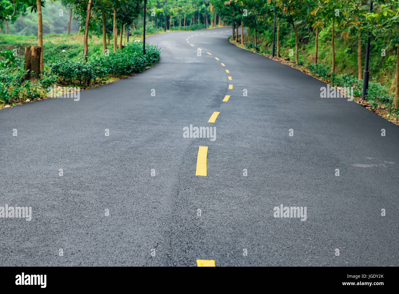 road with trees on both sides Stock Photo - Alamy