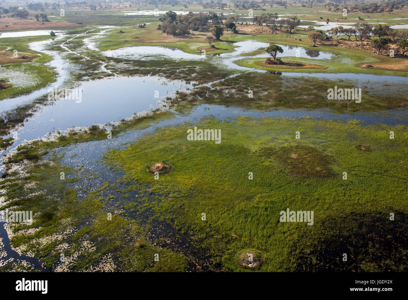 Okawango delta, Botswana, Okawango-Delta Stock Photo - Alamy