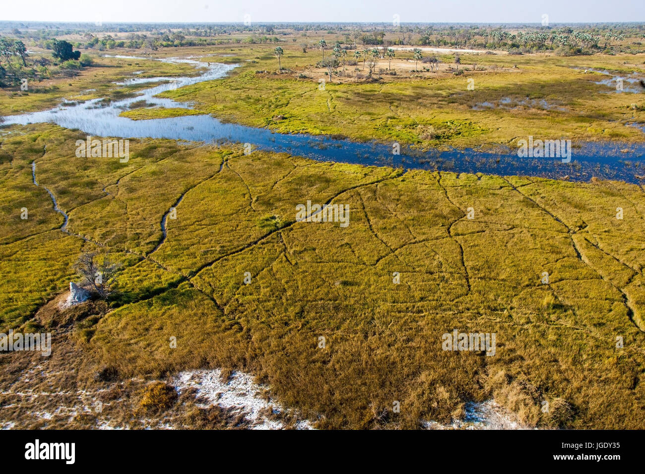 Okawango delta, Botswana, Okawango-Delta Stock Photo - Alamy