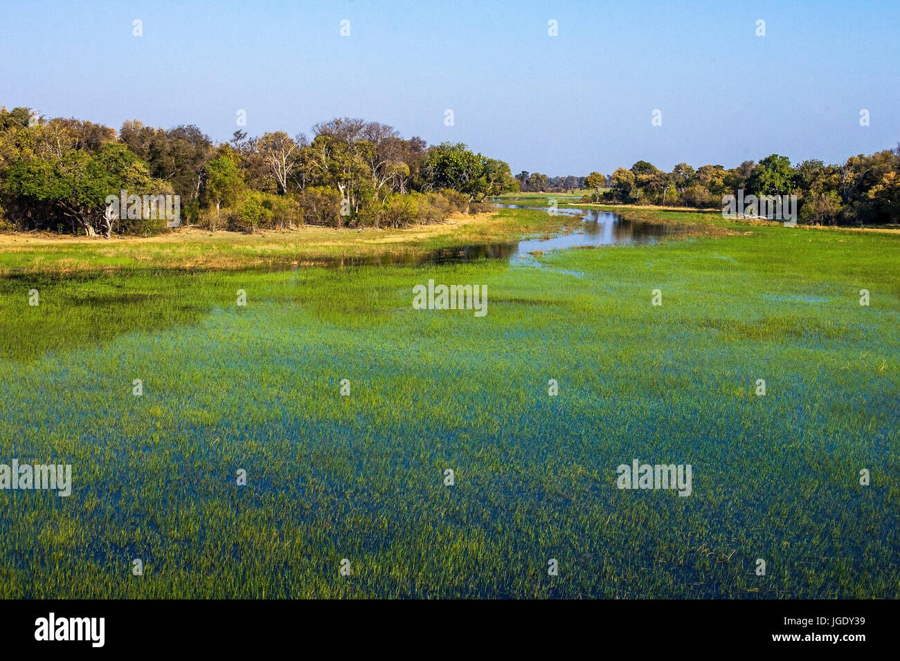 Okawango delta, Botswana, Okawango-Delta Stock Photo - Alamy