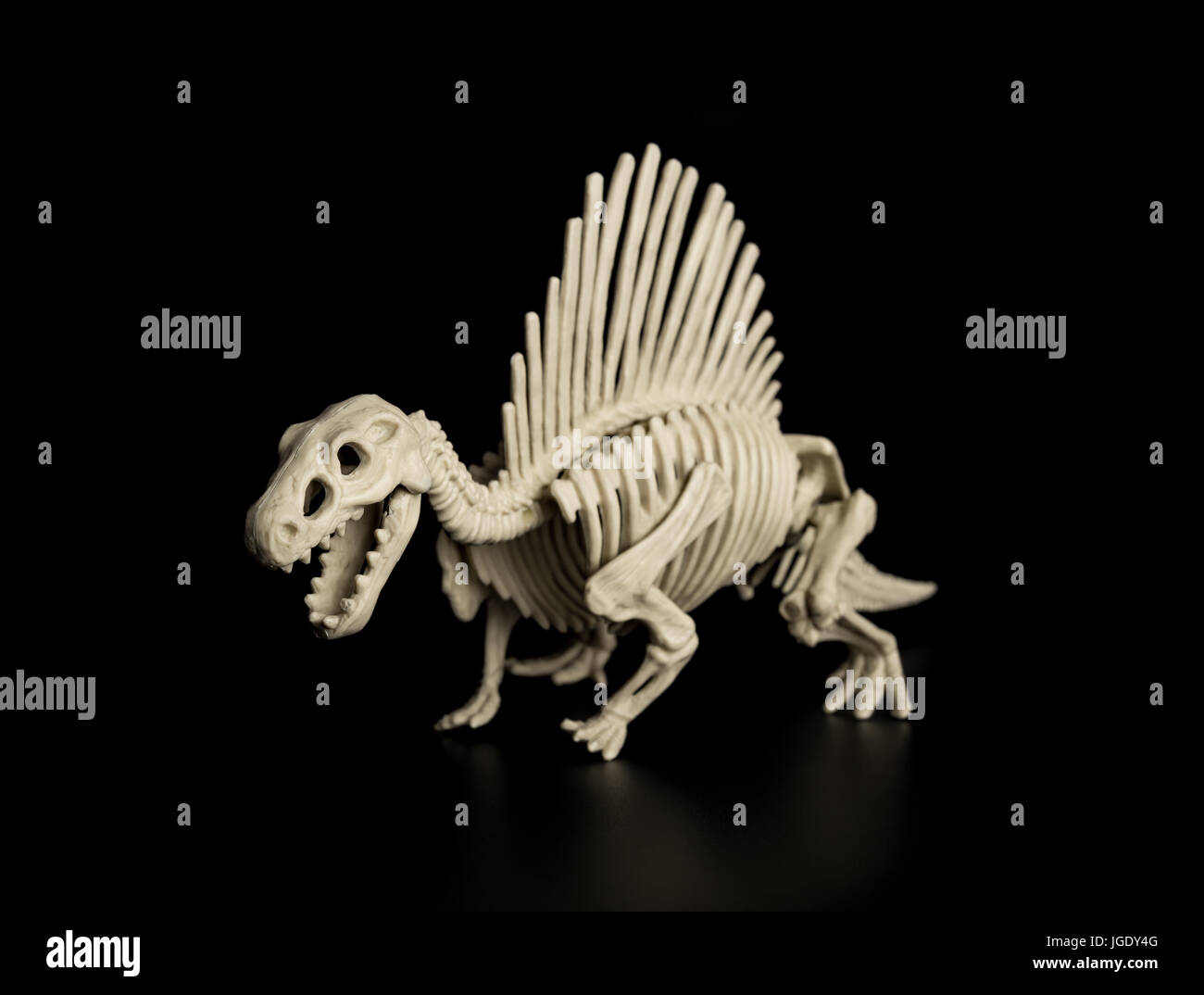 Spinosaurus skeleton hi-res stock photography and images - Alamy