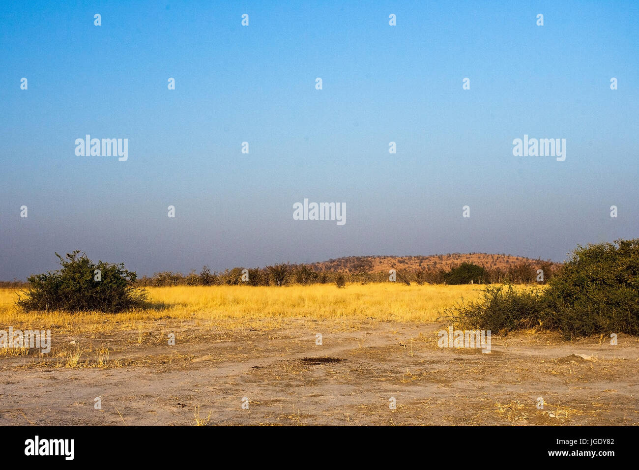 Chobe nationwide park hi-res stock photography and images - Alamy