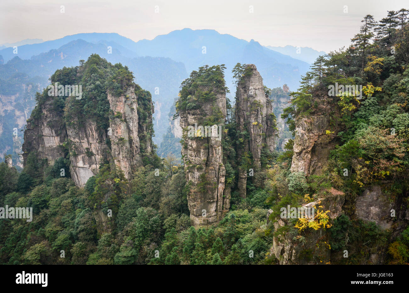 Rock mountains with trees at Zhangjiajie National Park in Hunan, China ...