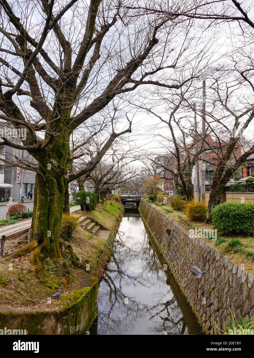 The Path Of Philosophy with many sakura trees in Kyoto, Japan Stock ...