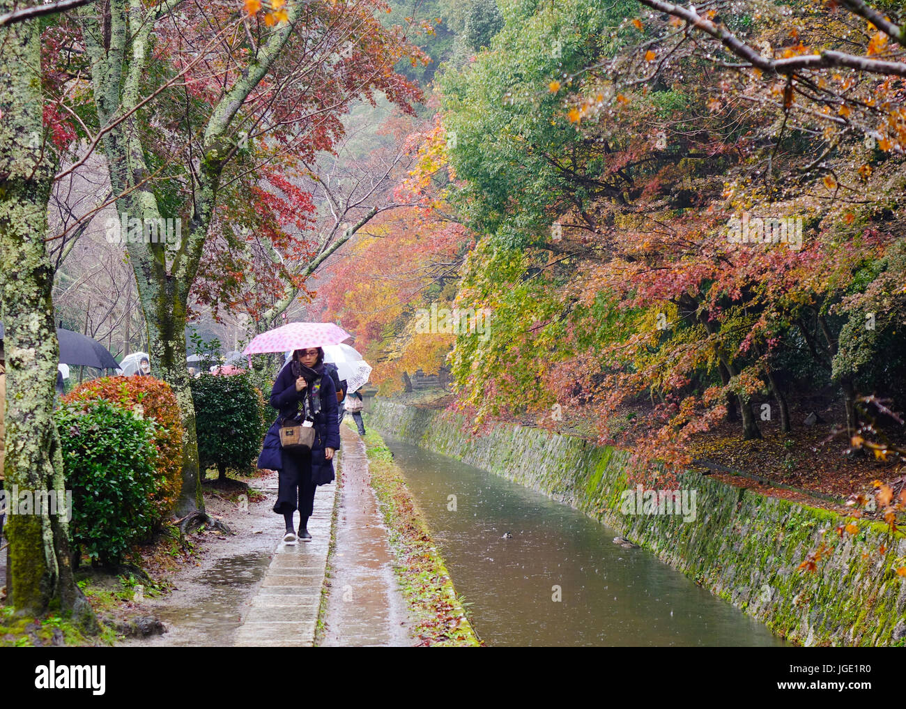 Kyoto, Japan - Nov 27, 2016. People walking on Philosopher's Walk in ...