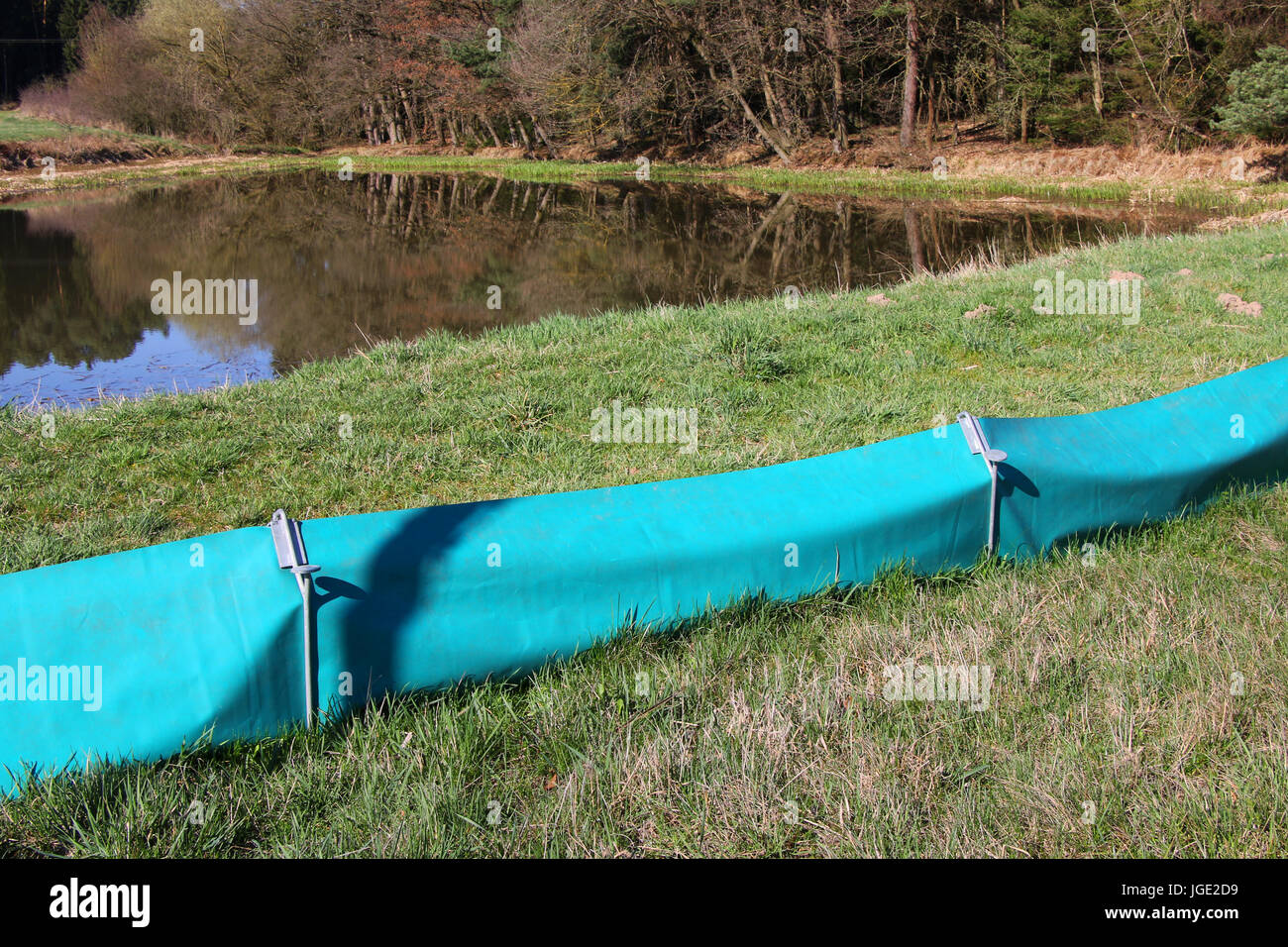 Toad, toad wandering, toad fence, earth toads, protection, fence ...