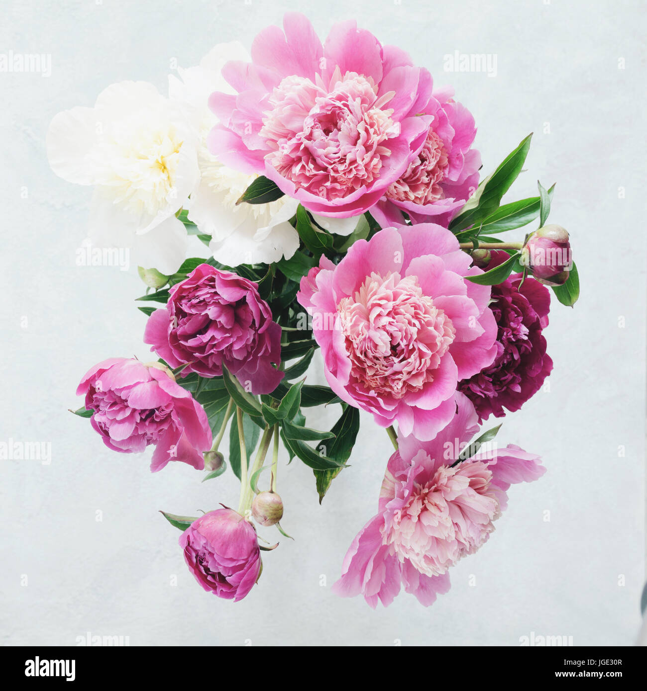 Penies hi-res stock photography and images - Alamy