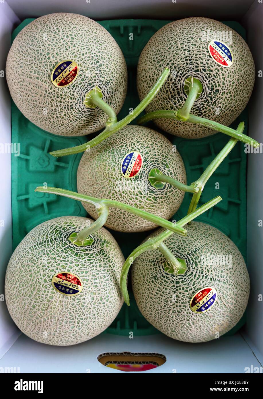 Expensive highly prized melons with perfect shapes are produced on the ...