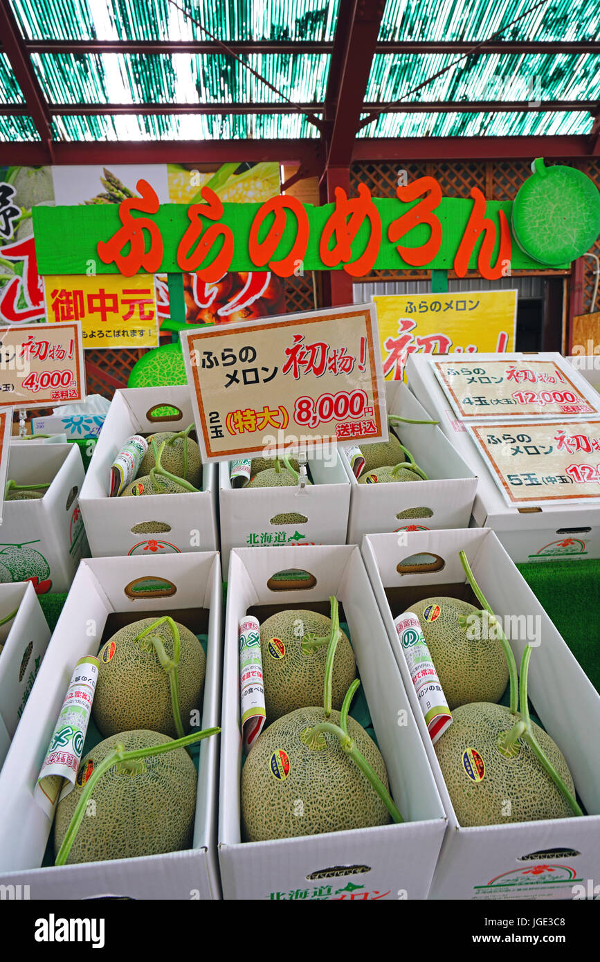 Expensive highly prized melons with perfect shapes are produced on the ...