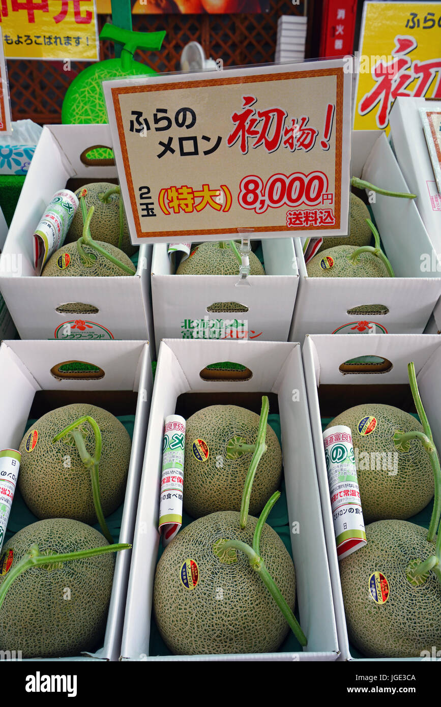 Expensive highly prized melons with perfect shapes are produced on the ...