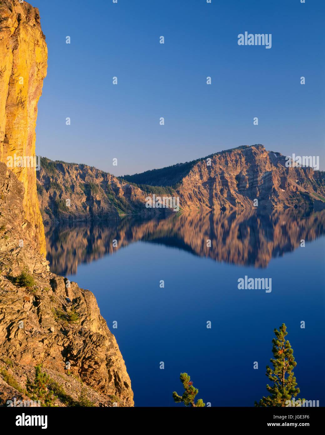 USA, Oregon, Crater Lake National Park, Yellow lichens at Palisade ...