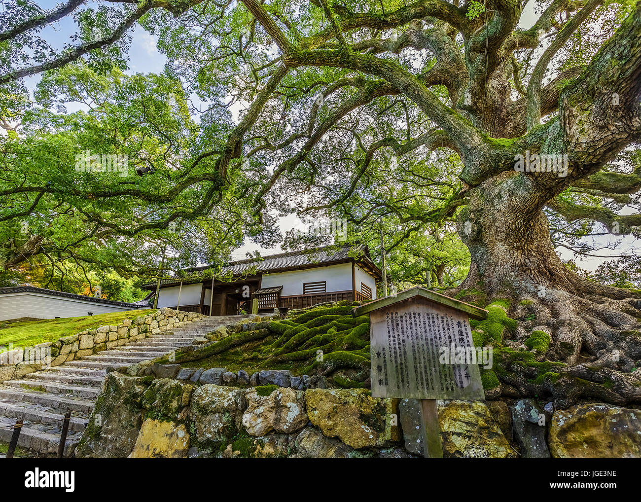 Shoren-in Temple in Kyoto, Japan Stock Photo - Alamy
