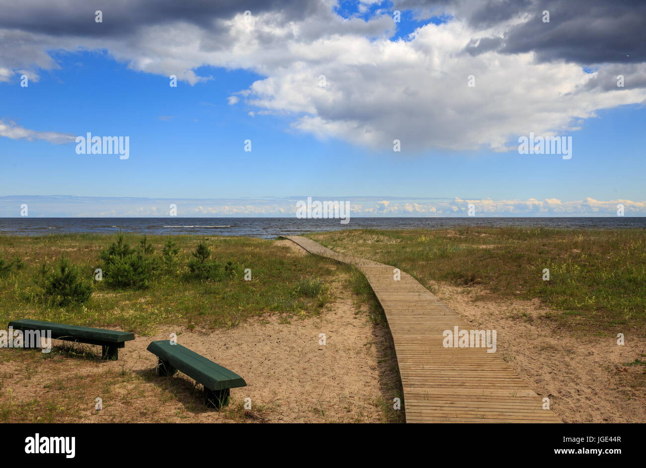 Baltic coast in summer Stock Photo - Alamy