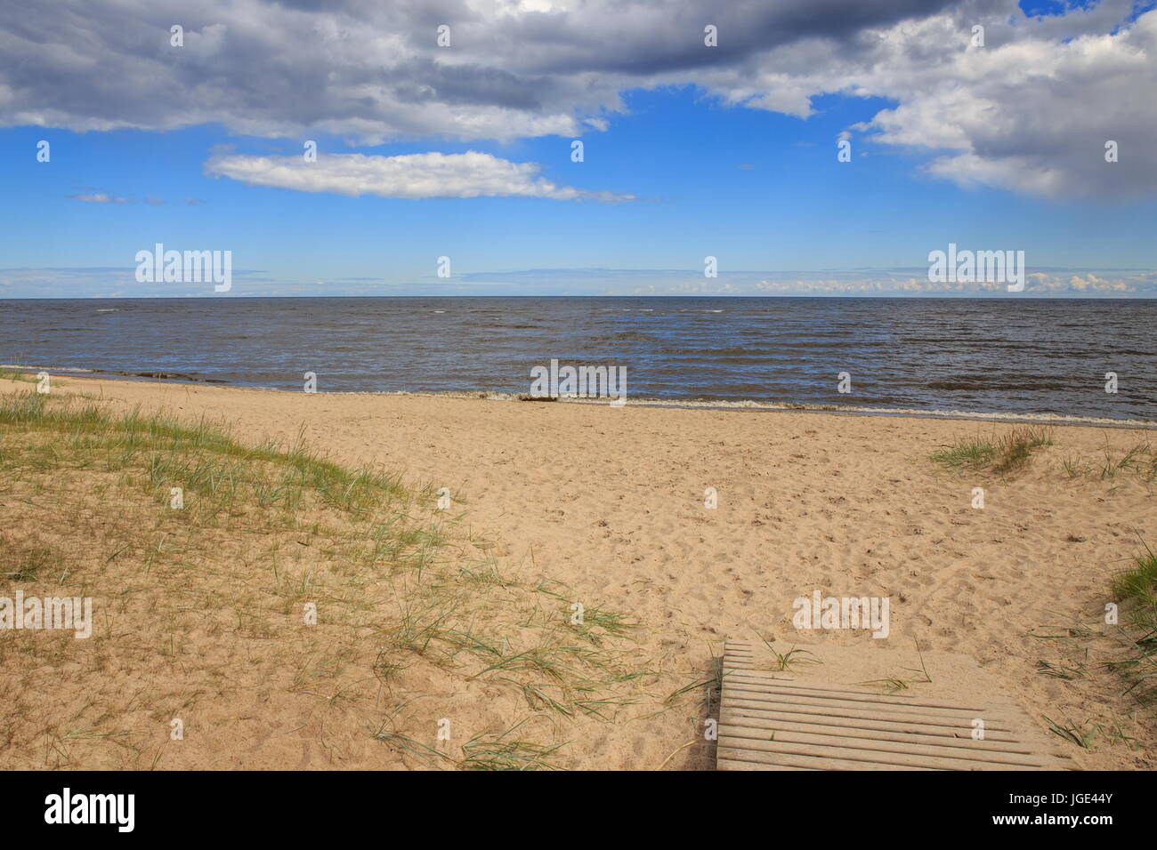 Baltic coast in summer Stock Photo - Alamy