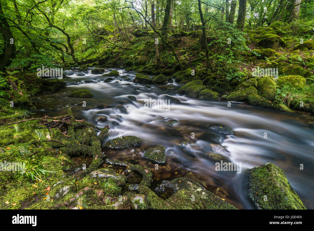 Fast flowing stream in hi-res stock photography and images - Alamy
