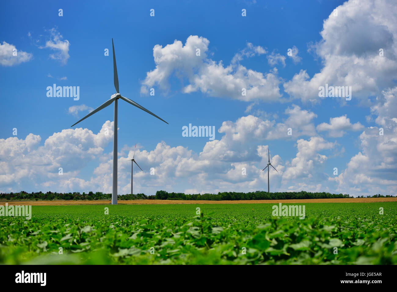 Eolian field and wind turbines farm on contryside in a sunny day Stock ...
