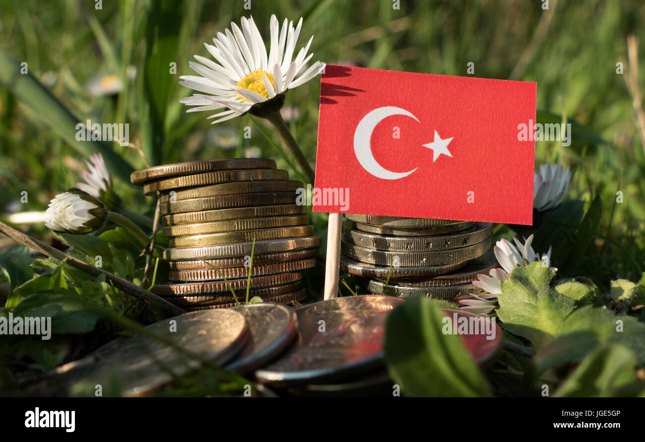 Turkish flag with stack of money coins with grass and flowers Stock ...