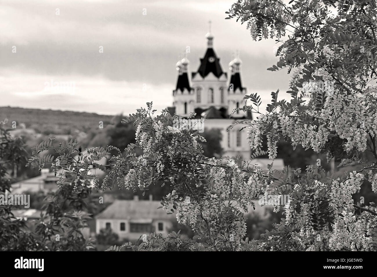 Acacia tower hi-res stock photography and images - Alamy