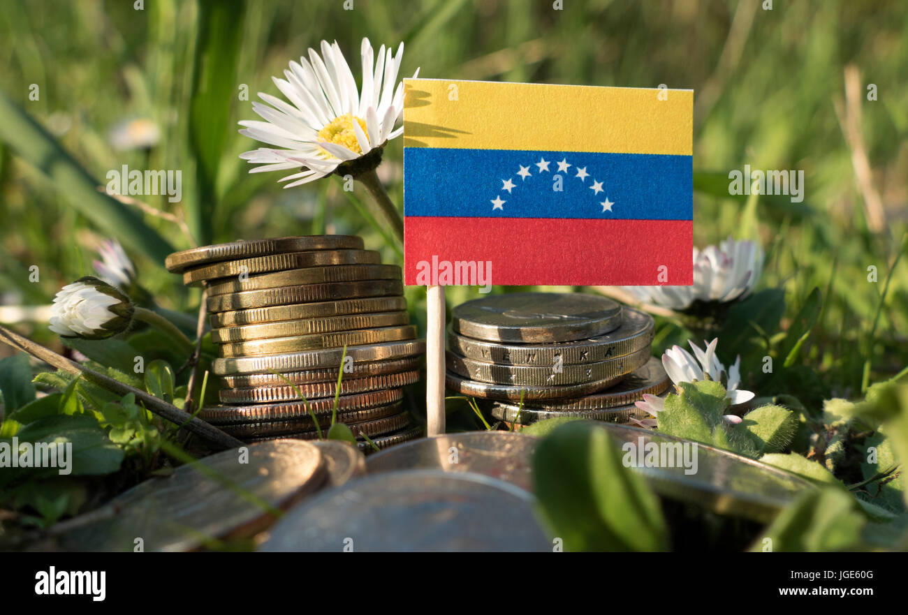 Venezuelan flag with stack of money coins with grass and flowers Stock ...