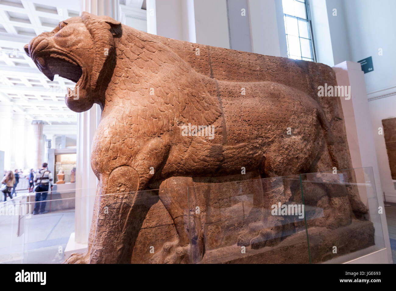 Colossal guard lion from Assyrian Nimrud Palace at The British Museum ...