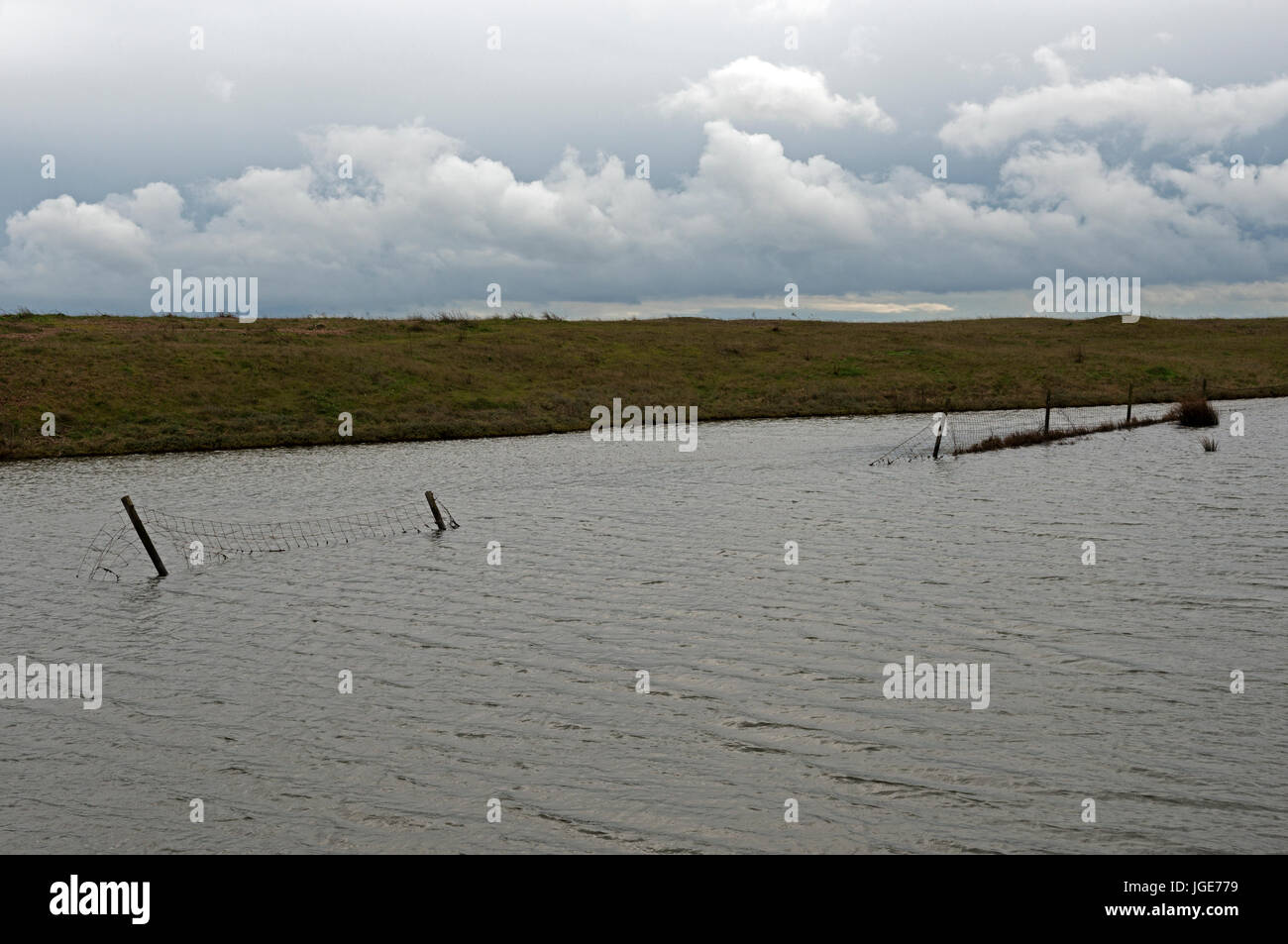 Waterlogged fencing hi-res stock photography and images - Alamy