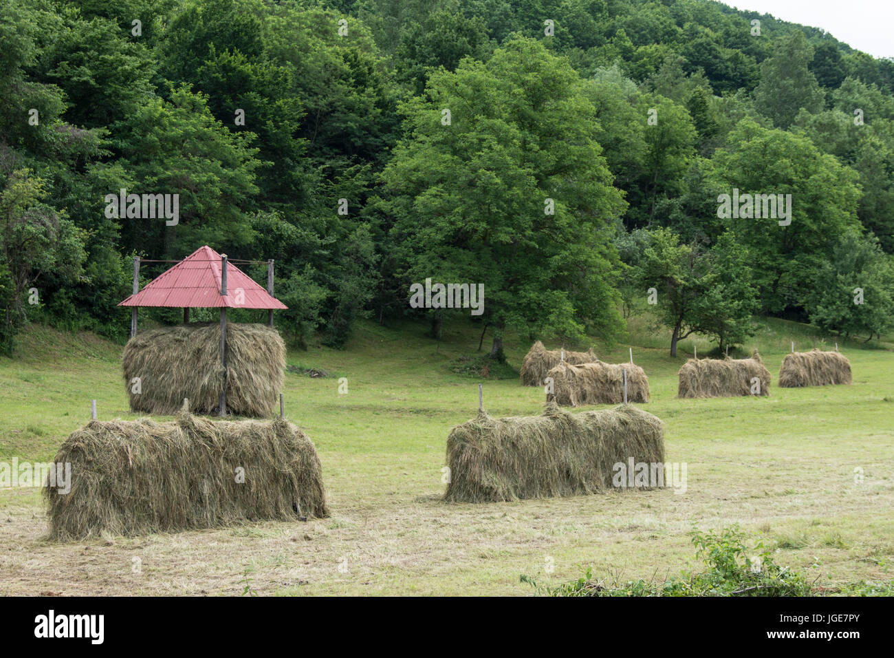 Haystack haystacks romania romanian hi-res stock photography and images ...