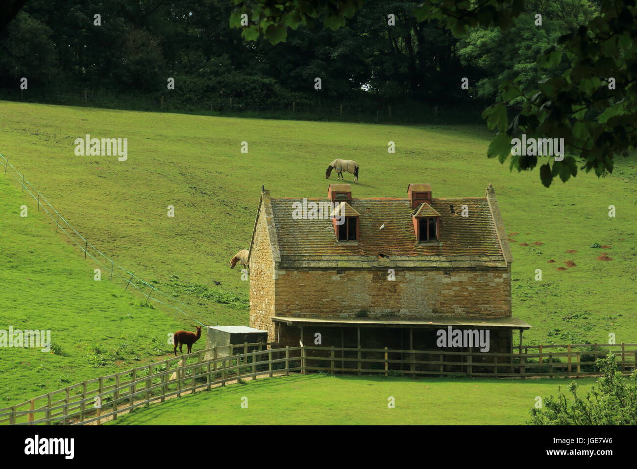 Abbotsbury Farm Building High Resolution Stock Photography and Images ...